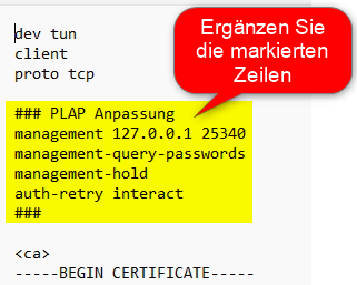 HOWTO: OpenVPN / WatchGuard SSLVPN und „Start Before Logon ...